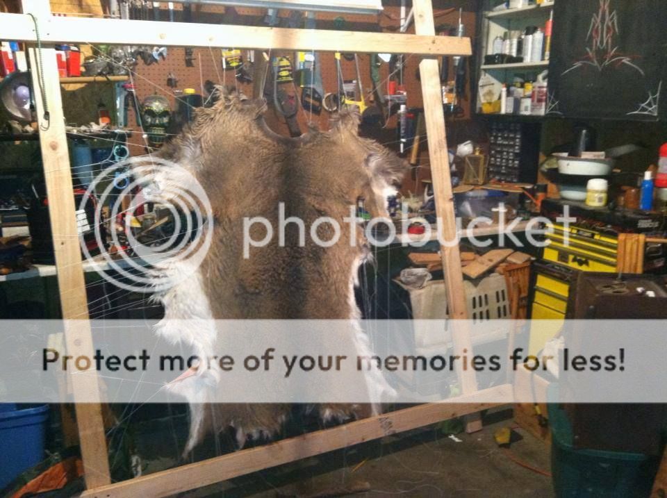 Making rawhide | Page 2 | Bushcraft USA Forums