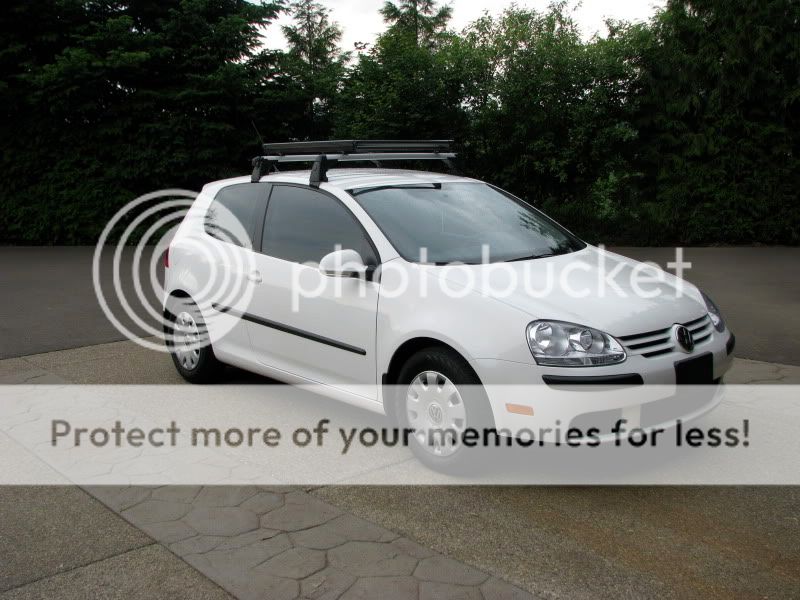 Polar Bear | VW Vortex - Volkswagen Forum