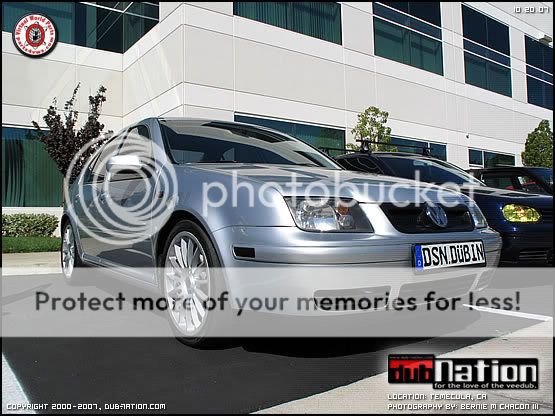 Wombats | VW Vortex - Volkswagen Forum