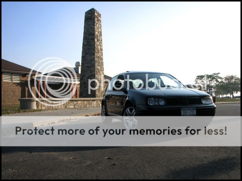 Wombats | VW Vortex - Volkswagen Forum