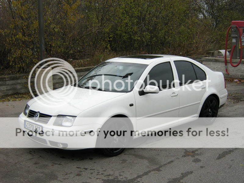 Wombats | VW Vortex - Volkswagen Forum