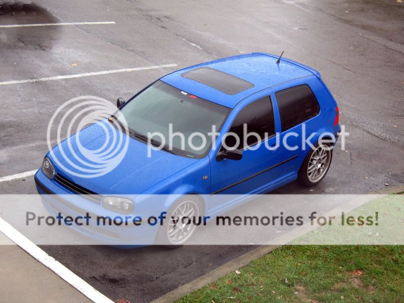 Wombats | VW Vortex - Volkswagen Forum