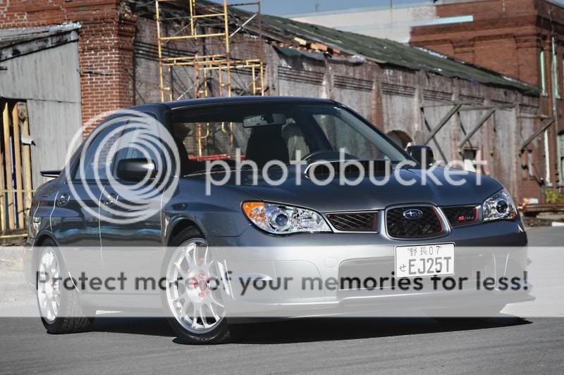 Wombats | VW Vortex - Volkswagen Forum