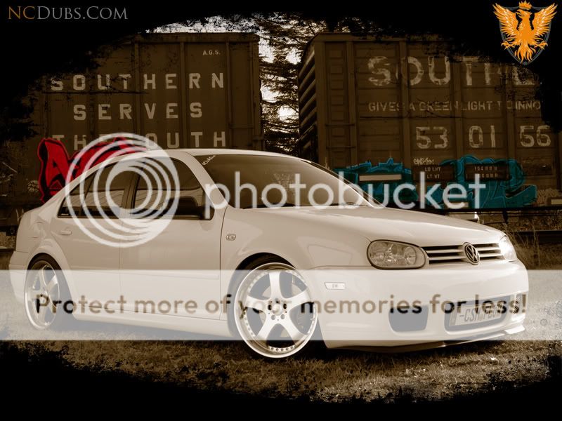 Wombats | VW Vortex - Volkswagen Forum