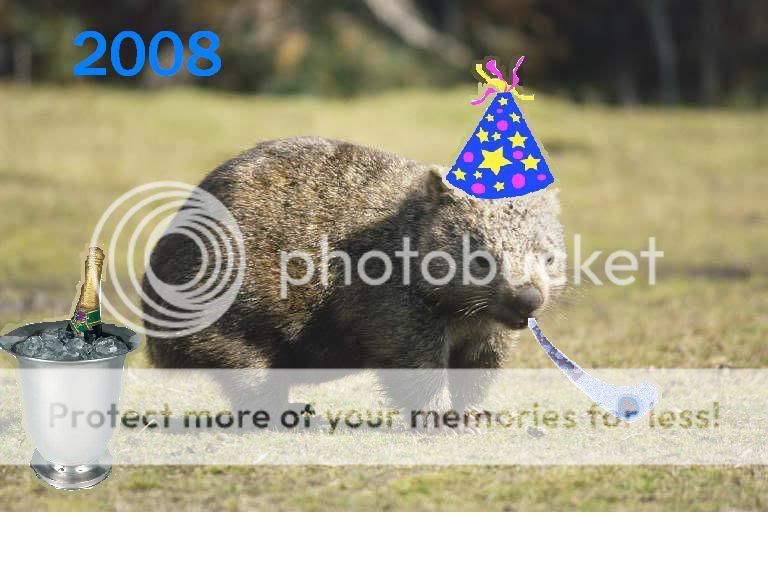 Wombats | VW Vortex - Volkswagen Forum