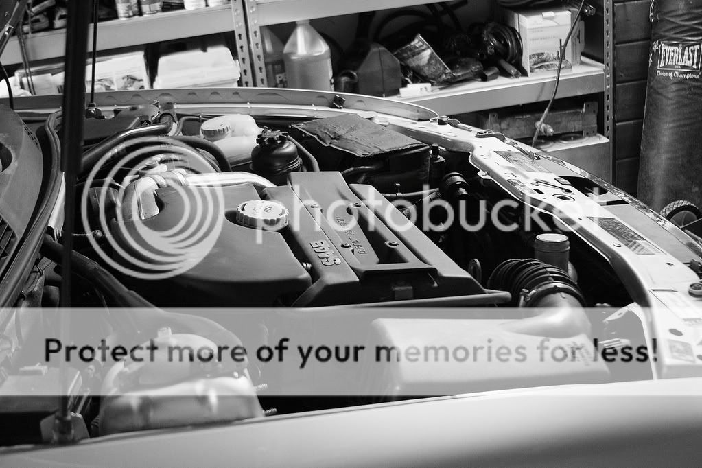 Engine Bay Pictures | Saab Link Forums