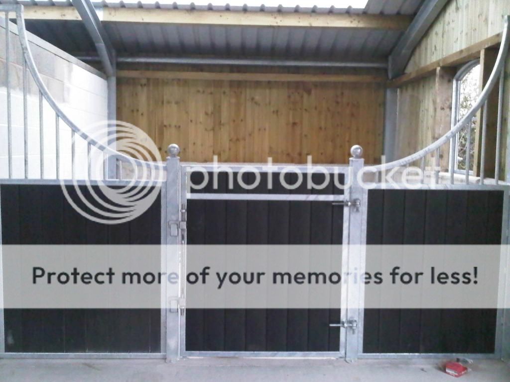 MONARCH V LODDON STABLES CHOICE? | Horse and Hound Forum