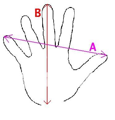 Calling on the ladies of r/tall, how big are your hands? I find that I ...