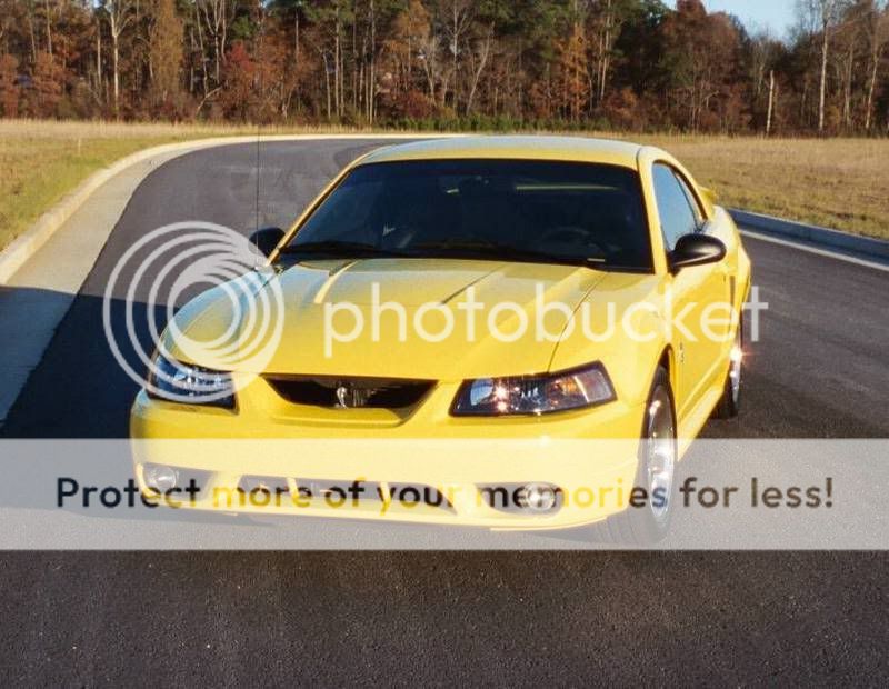 Some love for prev. gen Cobra SVT? | VW Vortex - Volkswagen Forum