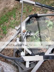 North Starr tree Cat Stands | GON Forum